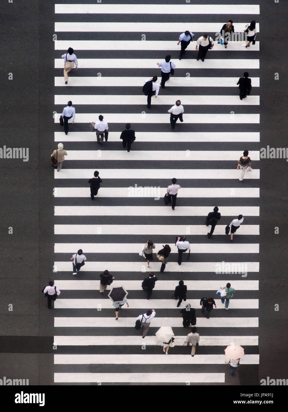 Zebra zone hi-res stock photography and images - Alamy