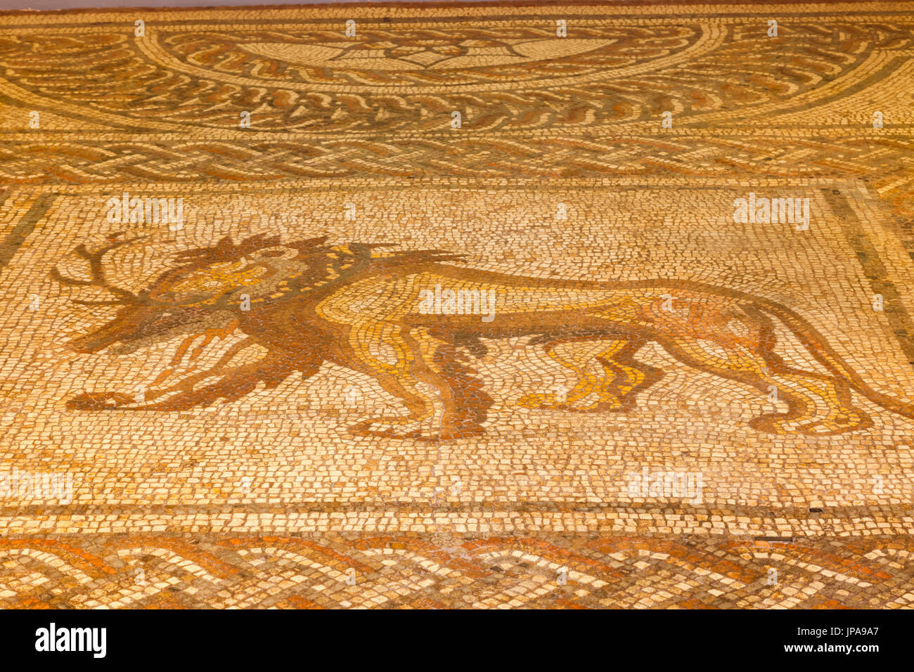 Verulamium museum, st albans hi-res stock photography and images - Alamy