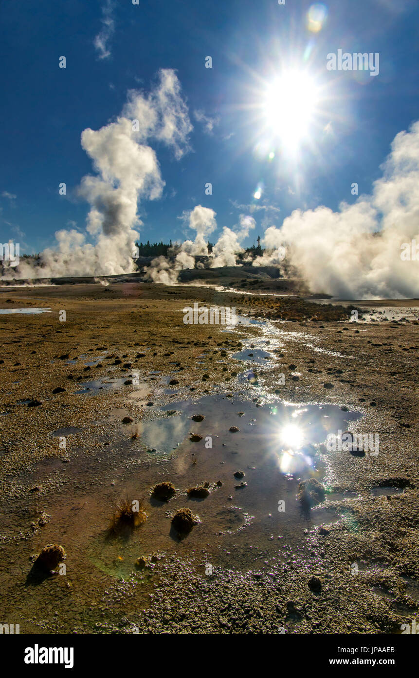 Yellowstone national park wyoming norris hi-res stock photography and ...