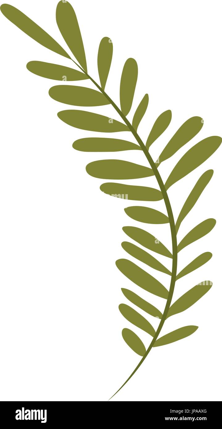 white background with colorful silhouette of long branch with leaves ...