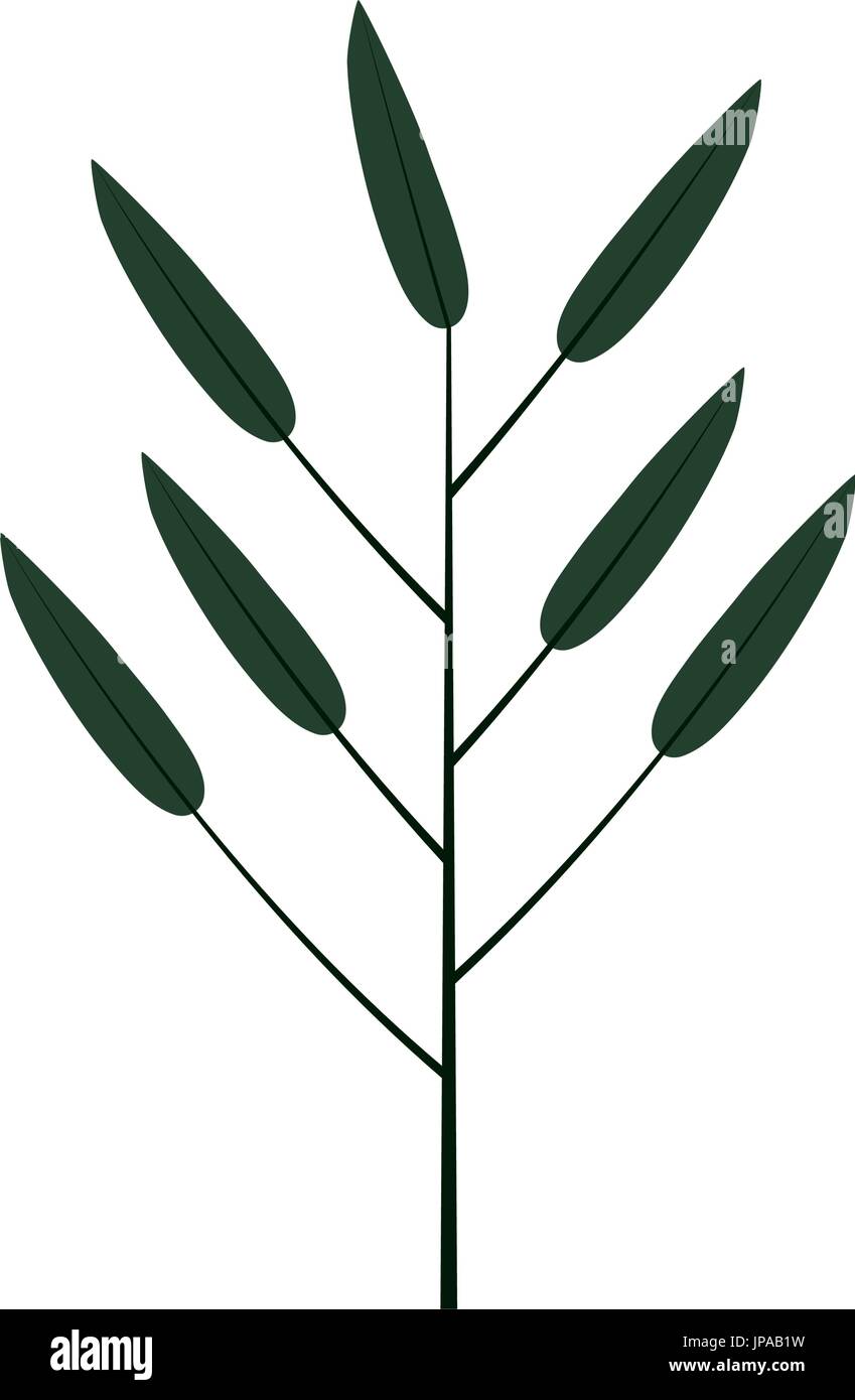 white background with colorful silhouette of branch with leaves ...