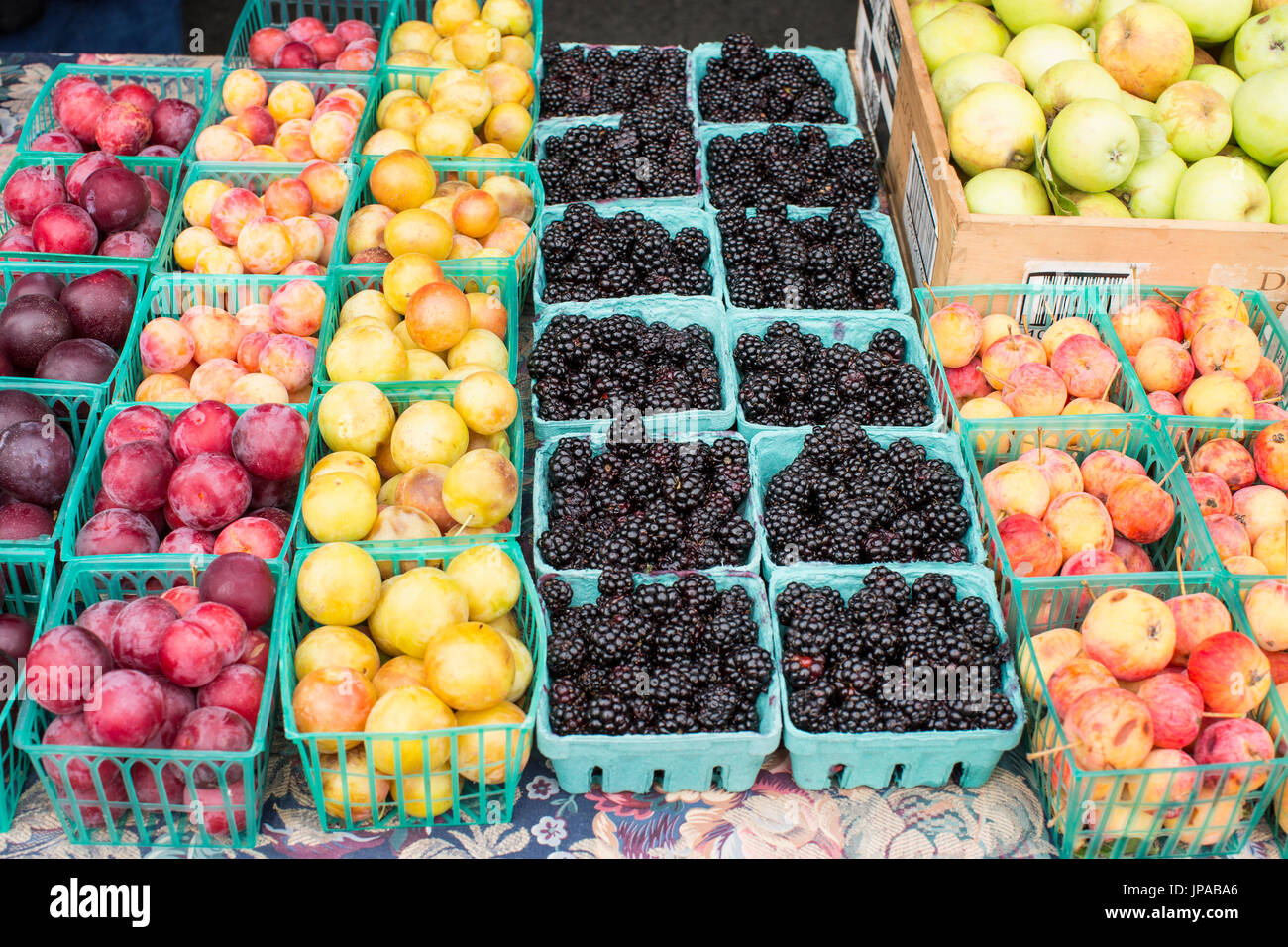 Fresh plums, pluots, blackberries, and apples for sale at Sebastopol ...