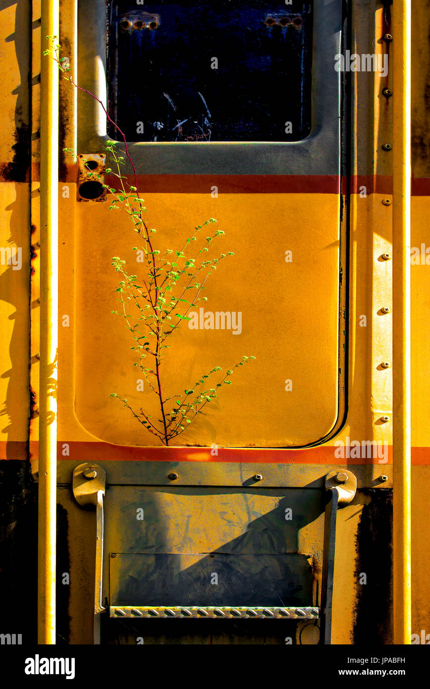 Old Railroad Wagon Door Stock Photo - Alamy