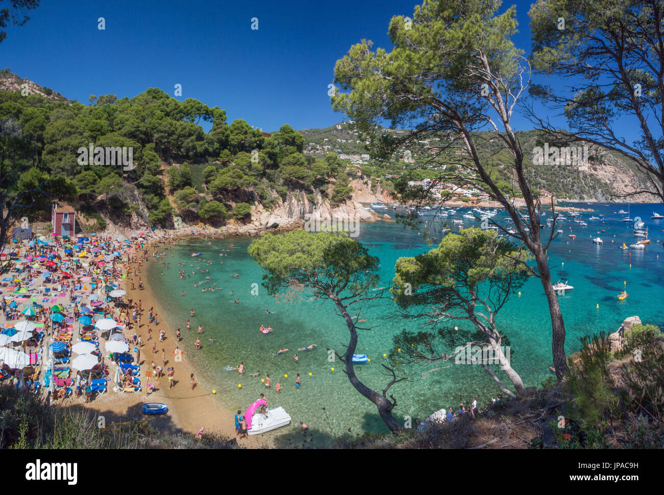Spain, Catalonia, Costa Brava, Tamariu Beach Stock Photo - Alamy