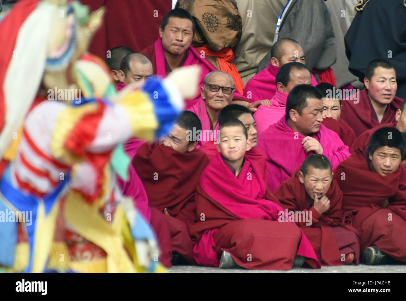 Monks watch a Tibetan ritual Cham or mask dance at Labrang Monastery of ...