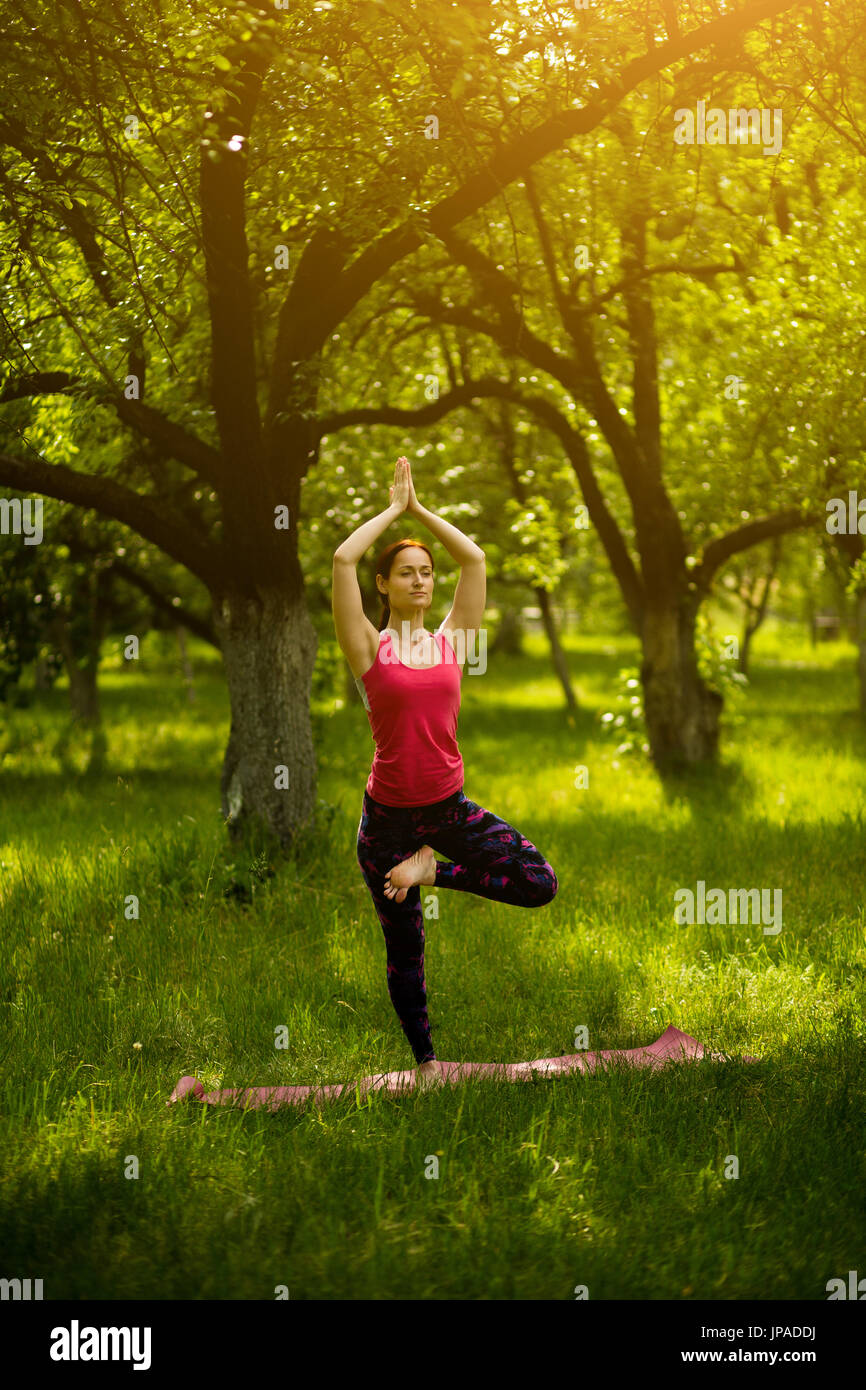 Yoga balance asana training Stock Photo - Alamy