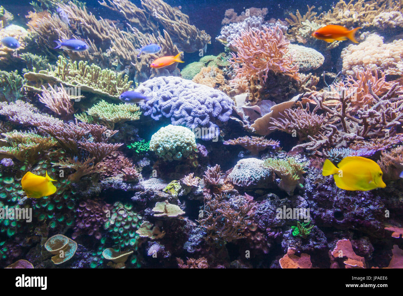 Hull England Deep High Resolution Stock Photography and Images - Alamy