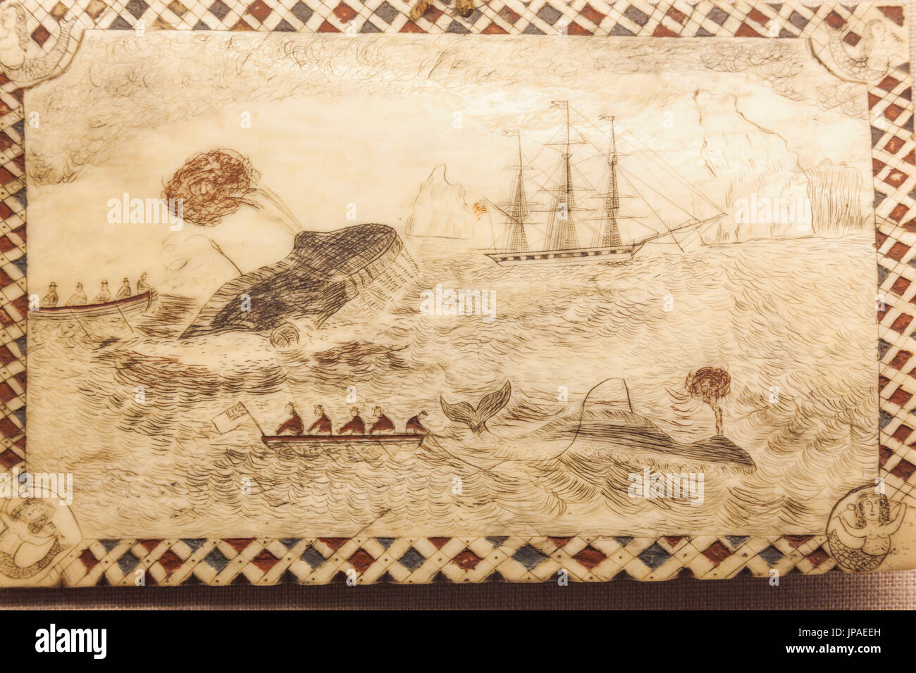 England, East Yorkshire, Kingston upon Hull, The Maritime Museum ...