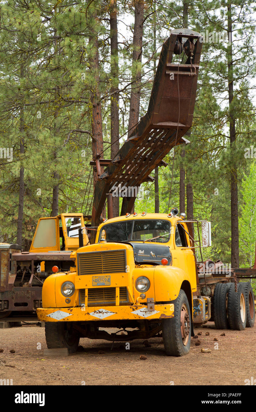 Logging Trucks In Oregon
