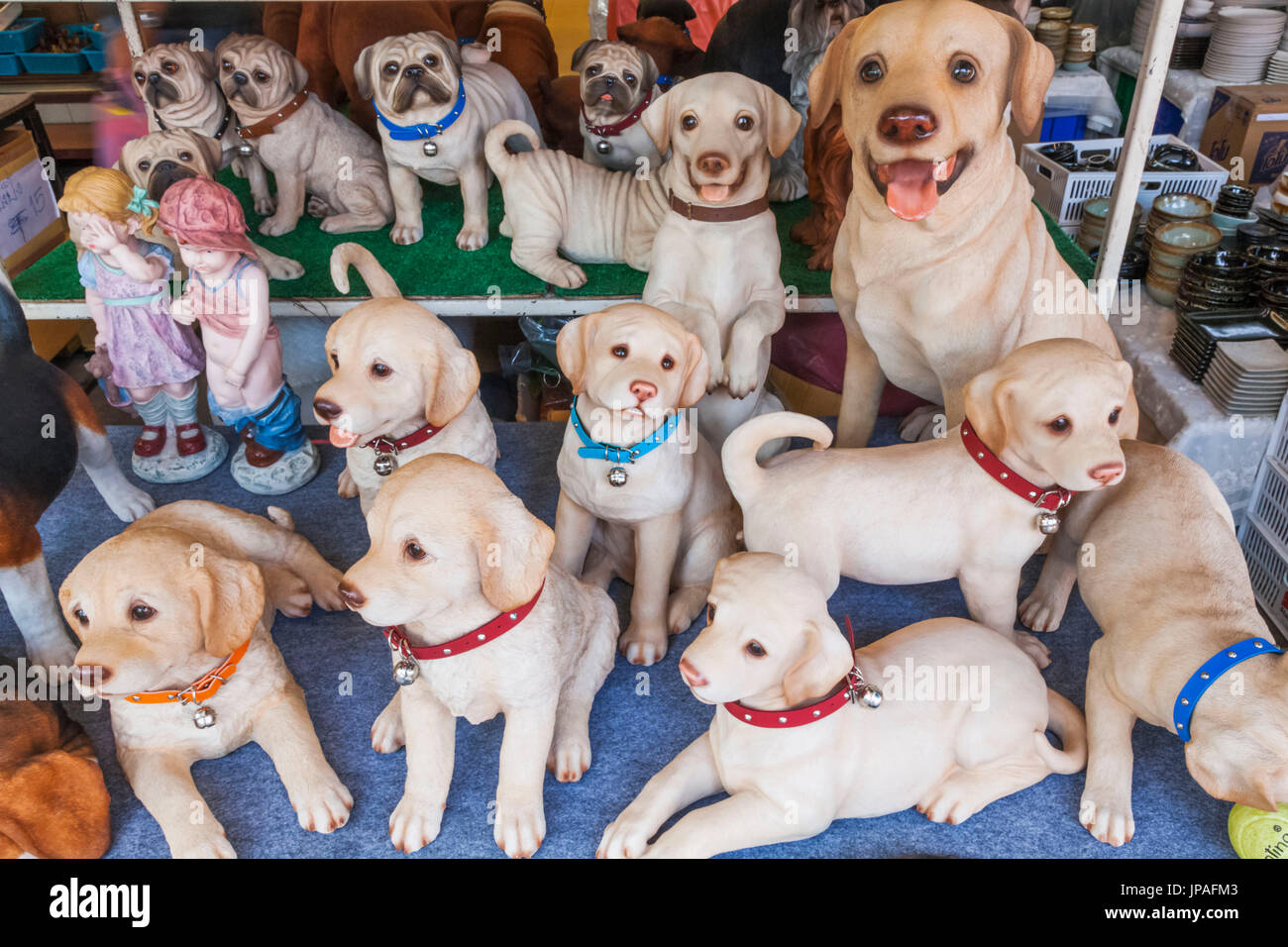 Chatuchak market animals hi-res stock photography and images - Alamy