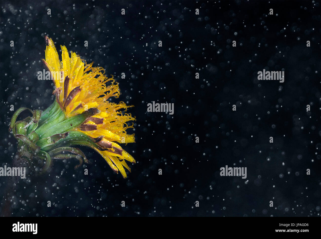 Rain season background hi-res stock photography and images - Alamy