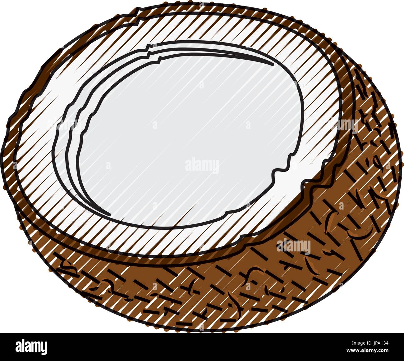 Coconut open fruit Stock Vector Image & Art - Alamy