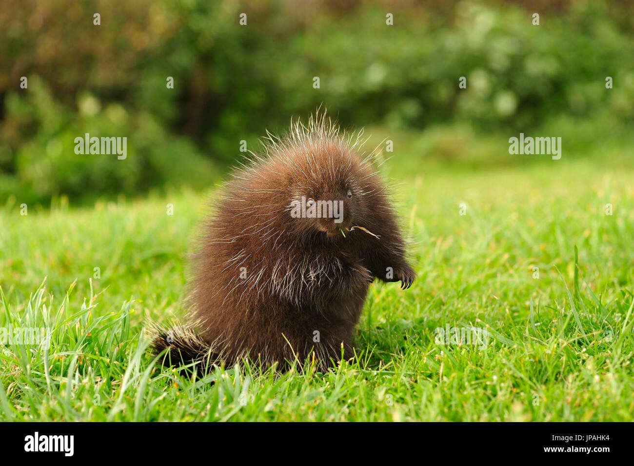 Kouchibouguac national park hi-res stock photography and images - Alamy