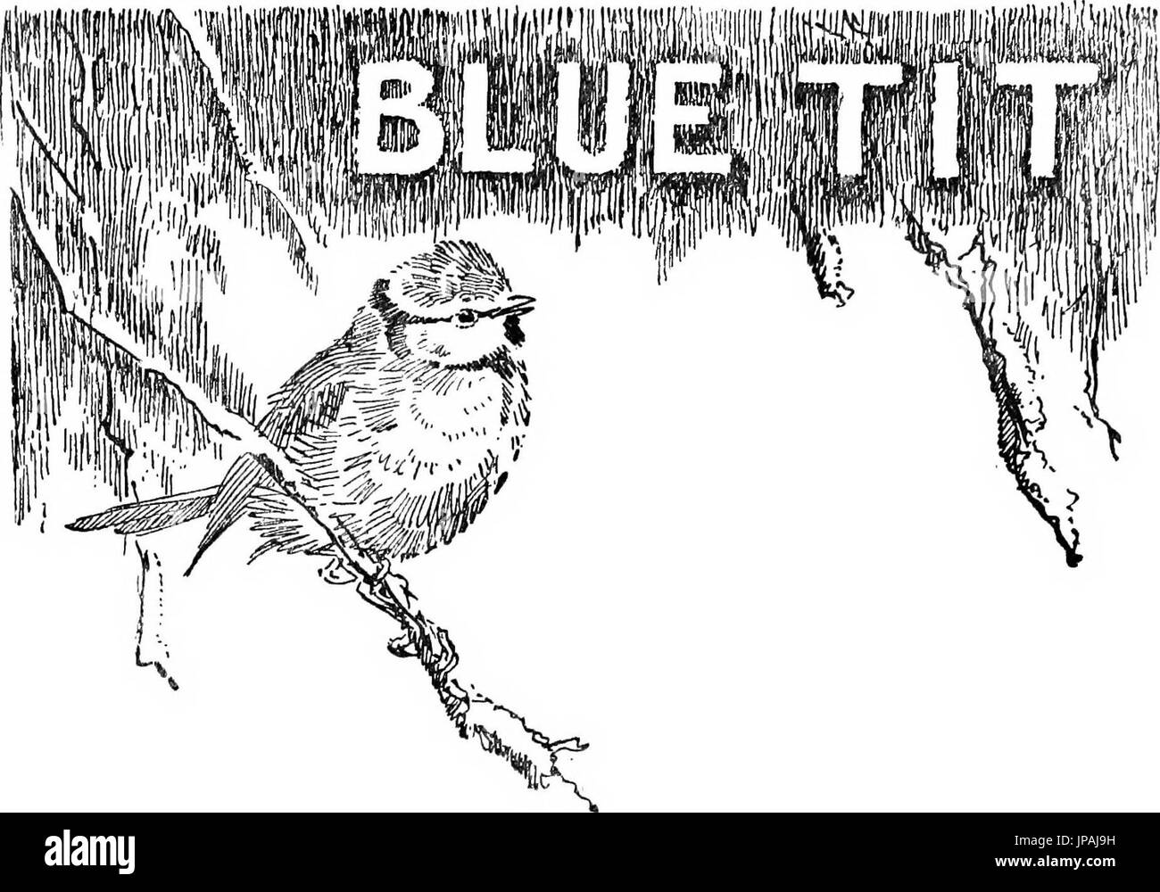 Old history book Black and White Stock Photos & Images - Alamy