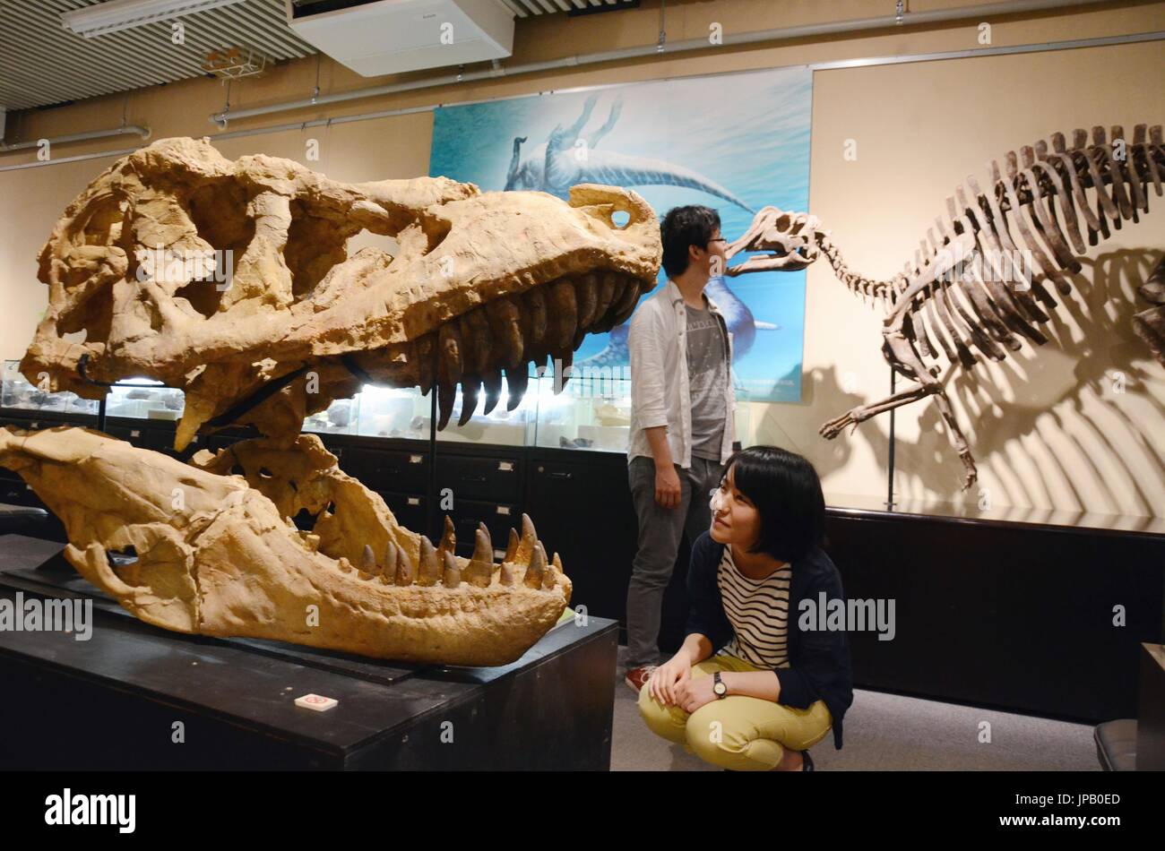Visitors observe dinosaur fossils at the Hokkaido University Museum in ...