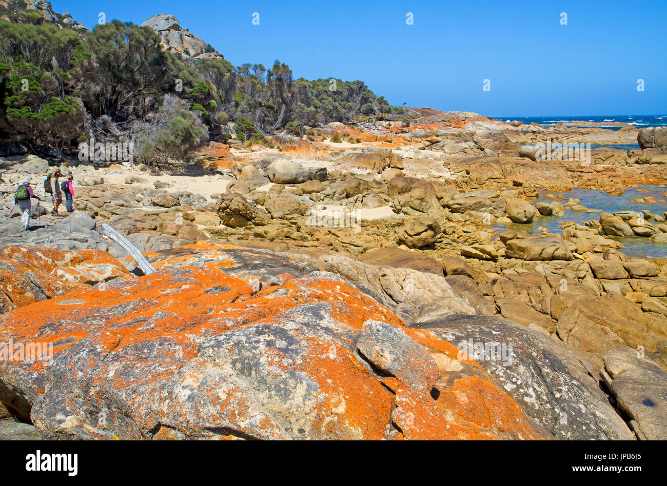 Hikers on the coastal trail around the foot of Mt Killiecrankie on ...