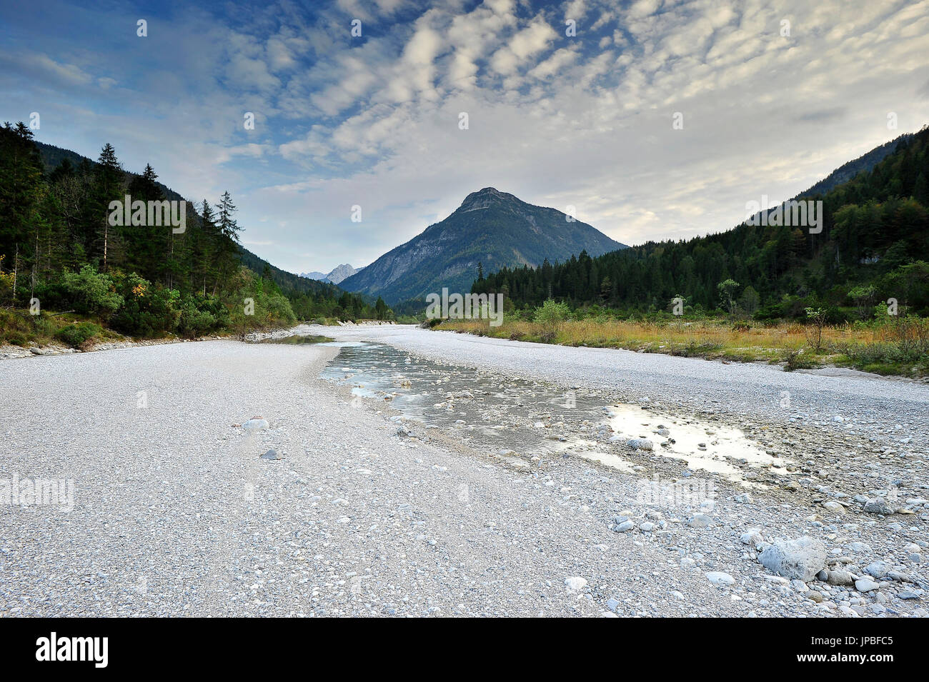 Seeping hi-res stock photography and images - Alamy