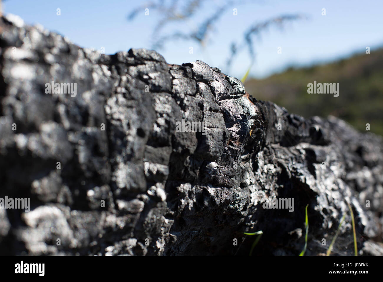 Conflagration island hi-res stock photography and images - Alamy