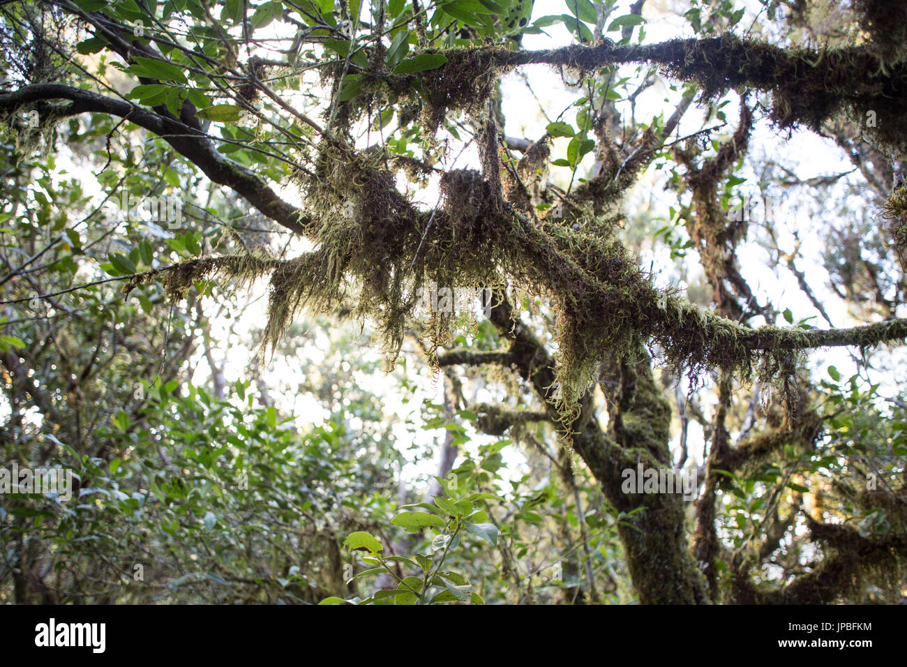 Parque de laurel point hi-res stock photography and images - Alamy