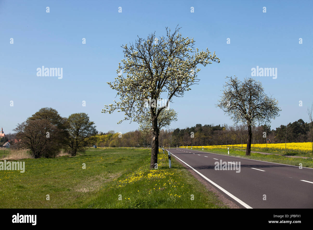 Country road in spring Stock Photo - Alamy