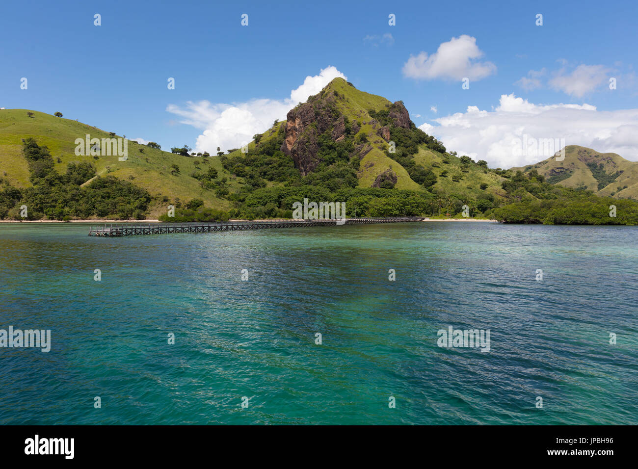 Typical vegetation of Flores islands, Indonesia, Flores, Komodo ...