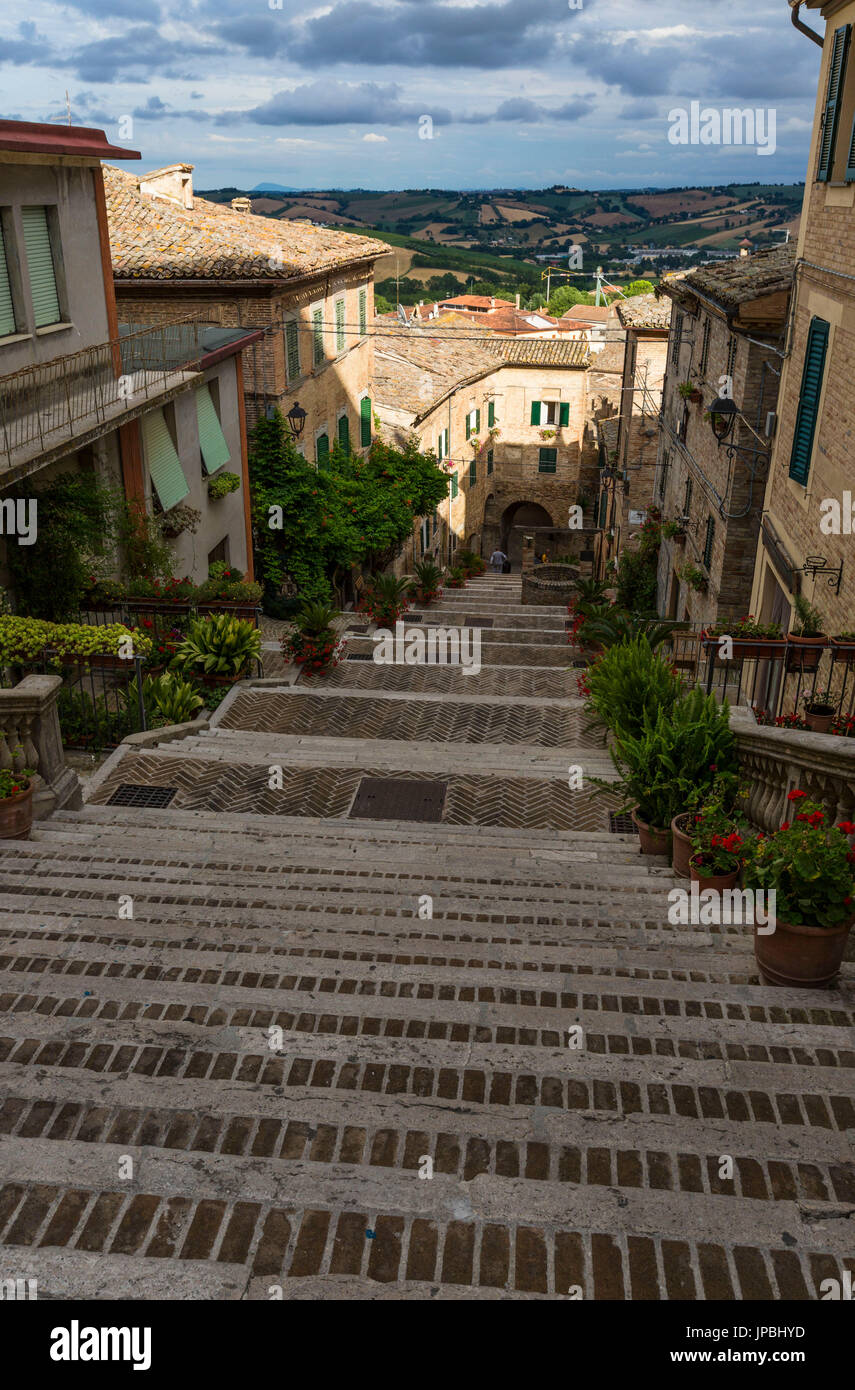 A typical flight of steps among the houses of the old town of Corinaldo ...