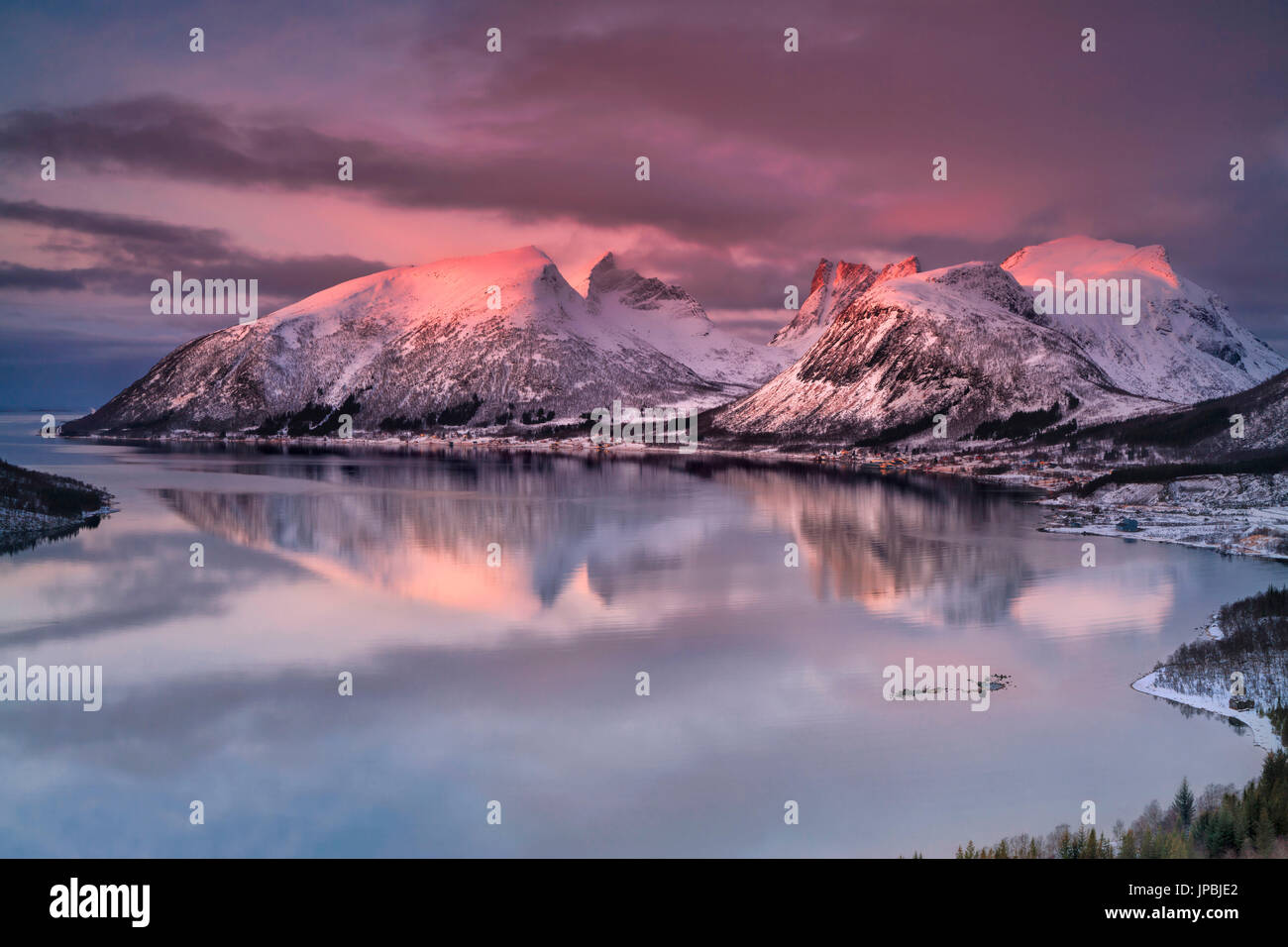 Pink sky and clouds on the snowy peaks reflected in cold sea at sunset ...