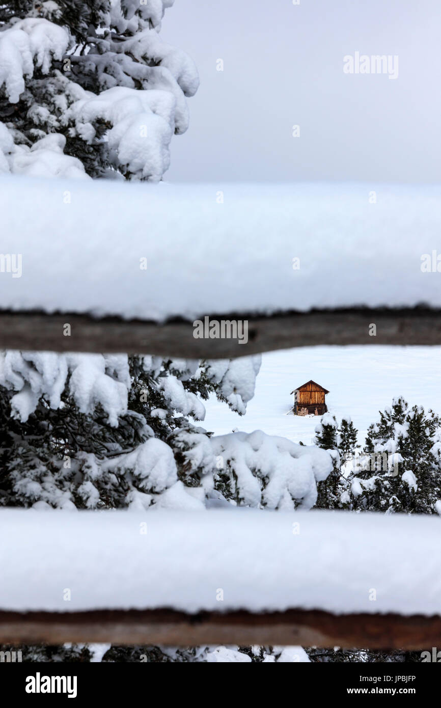 The wooden fence covered with snow frames the alpine hut Passo Delle ...