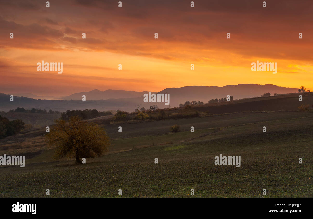 Tortona italy hi-res stock photography and images - Alamy