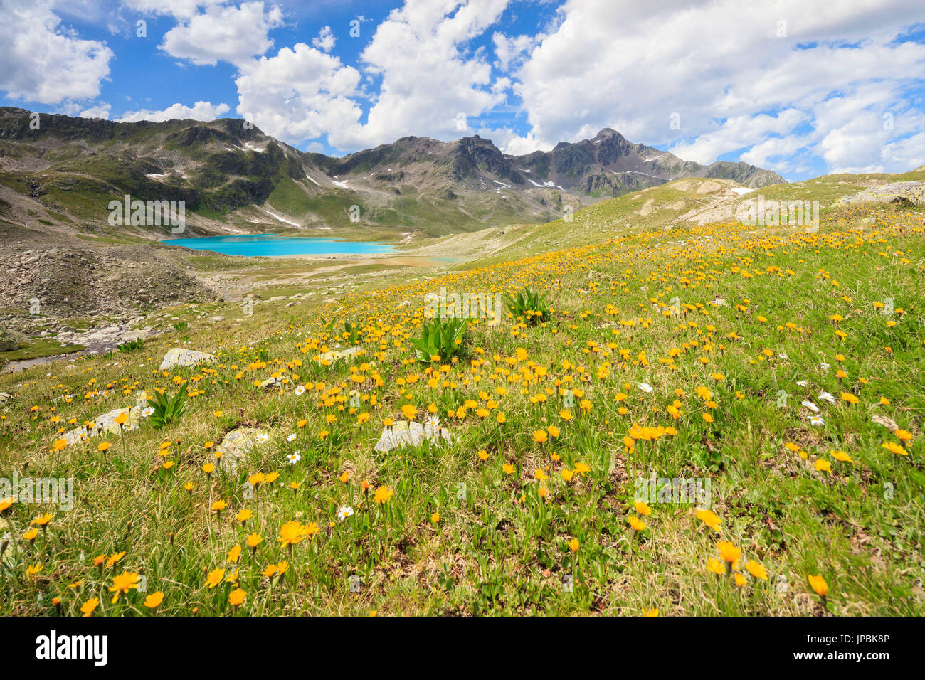 Turquoise lake framed by yellow flowers and rocky peaks Joriseen ...