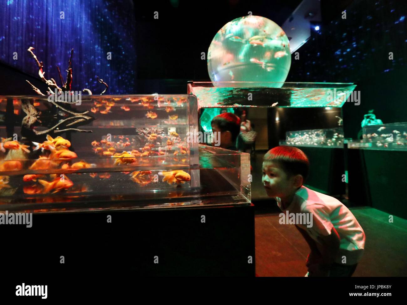 Visitors view goldfish at the Art Aquarium exhibition at Dojima River ...