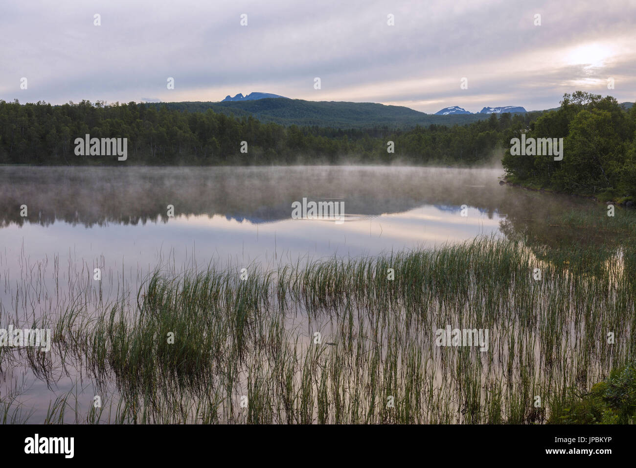 Pink clouds of midnight sun reflected in the clear water of a swamp ...