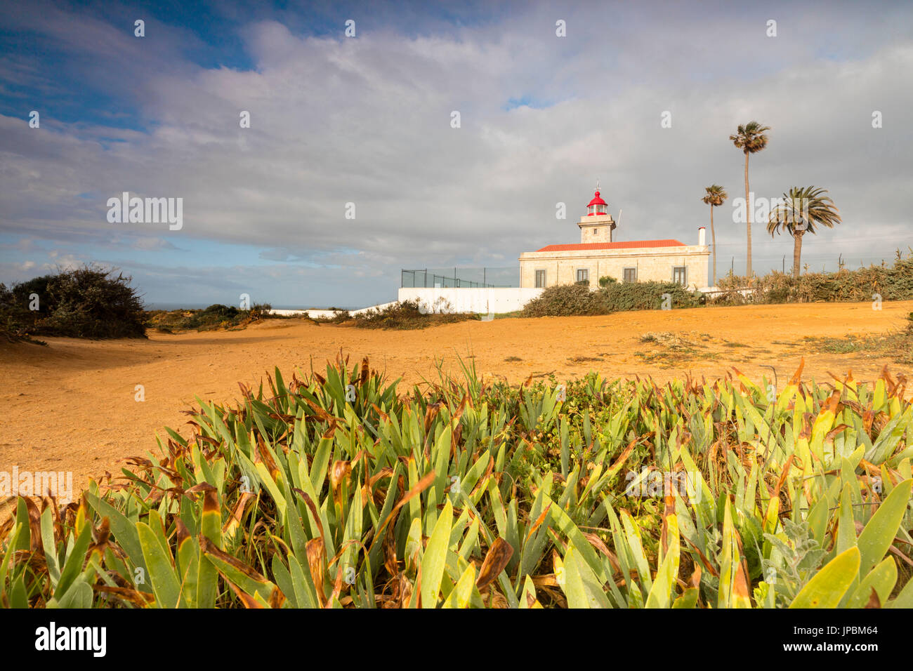 Palm trees and sand frames the lighthouse in spring Ponta Da Piedade ...