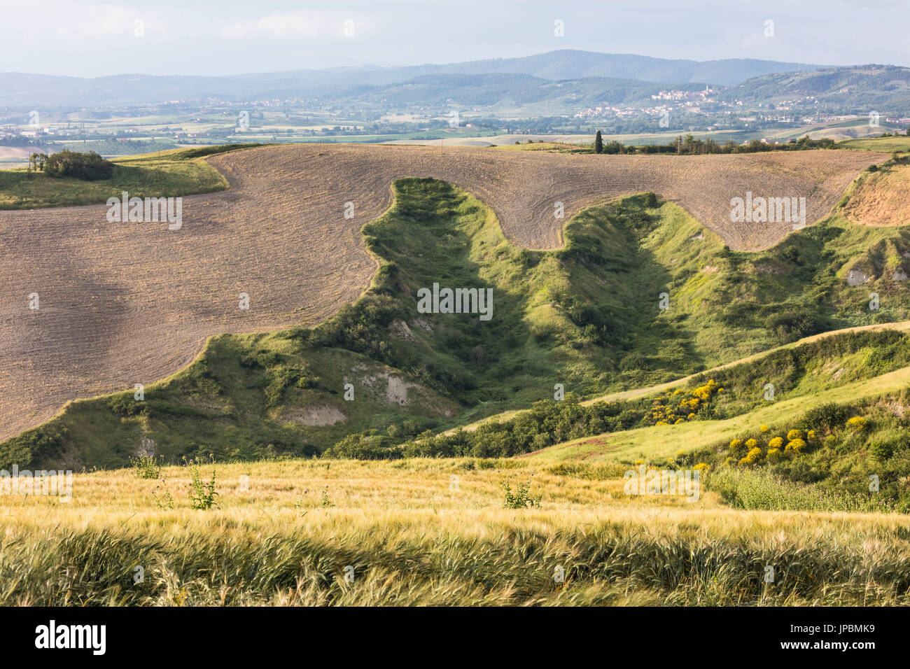 The curved shapes of the multicolored hills of the Crete Senesi (Senese ...