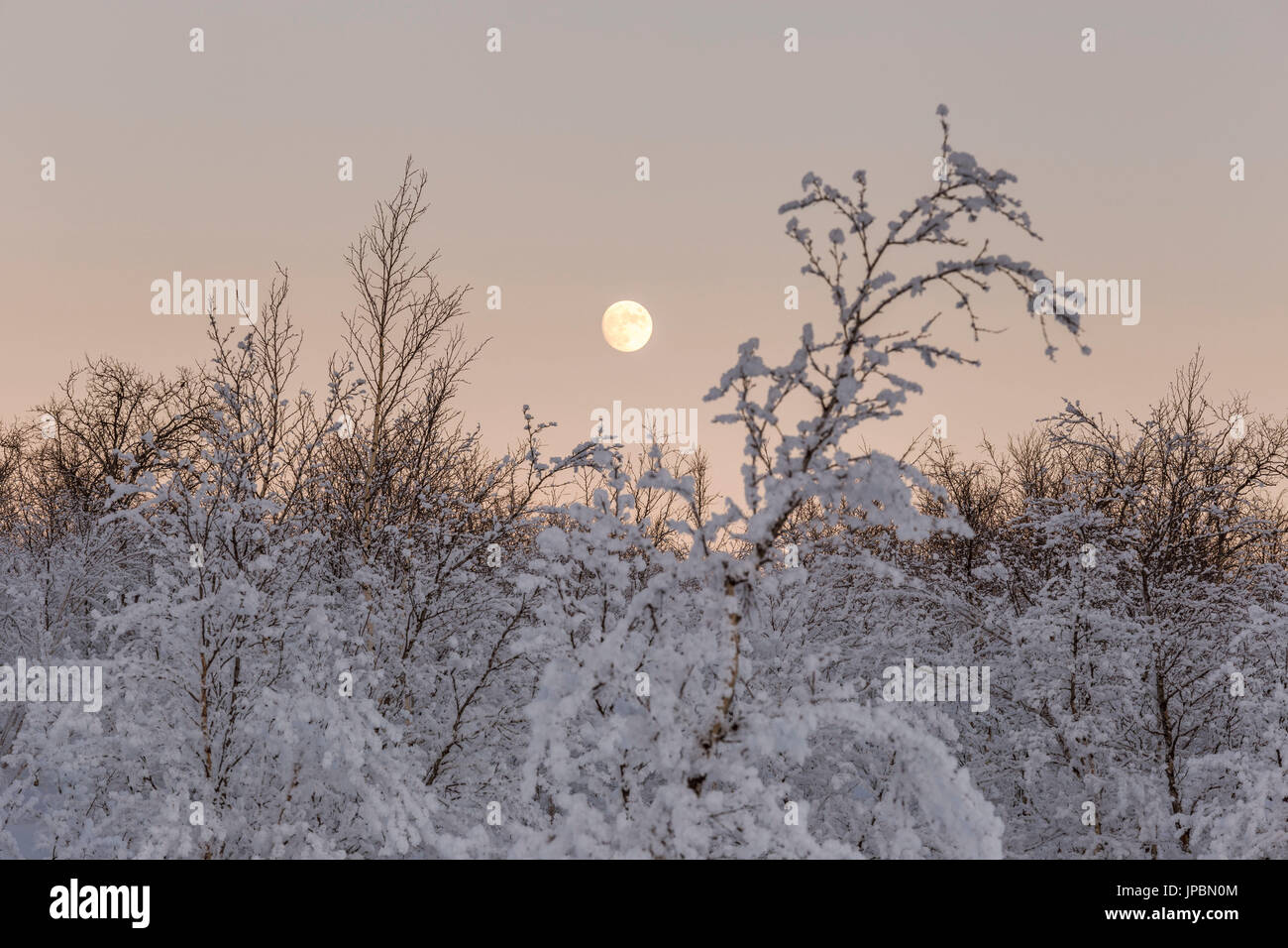 Full cold moon hi-res stock photography and images - Alamy