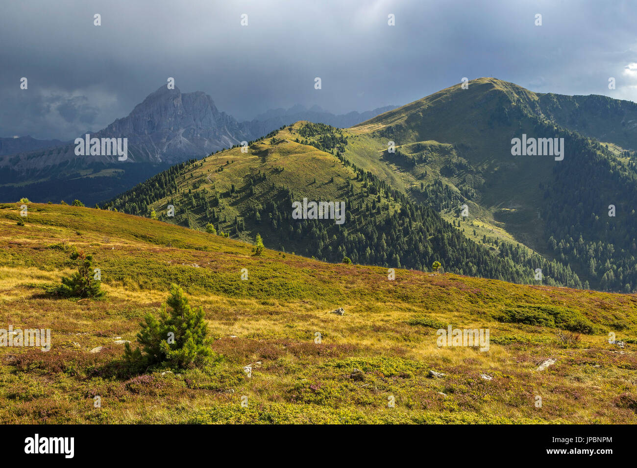 Alpe di luson hi-res stock photography and images - Alamy