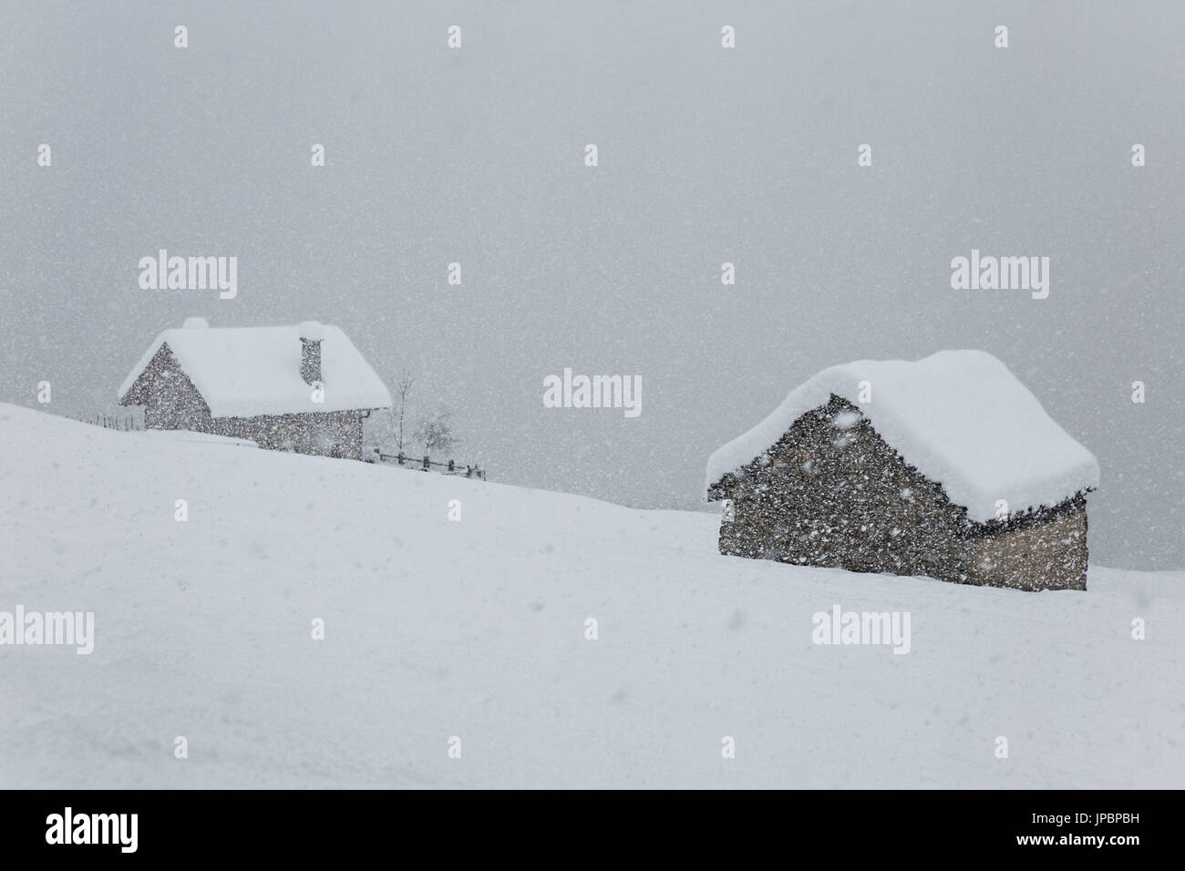Winter view of the Alp Ple during a snowfall (Alp Ple, Varzo, Verbano ...