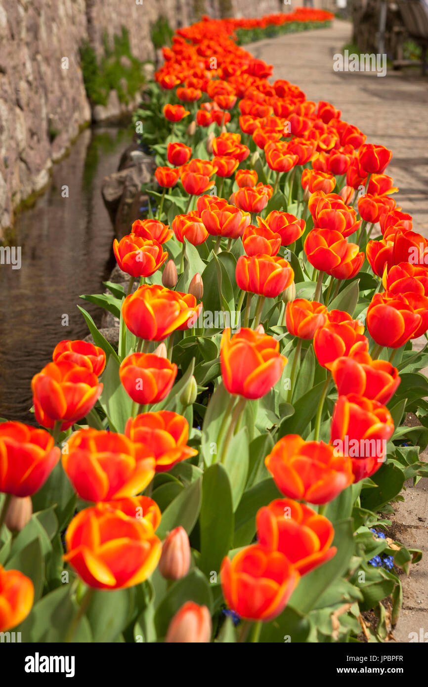 Europe flower garden hi-res stock photography and images - Alamy