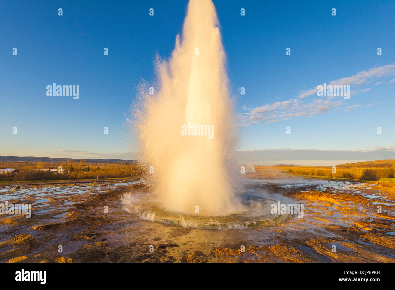 Iceland iconic geyser steam jet erupting from the ground hi-res stock ...
