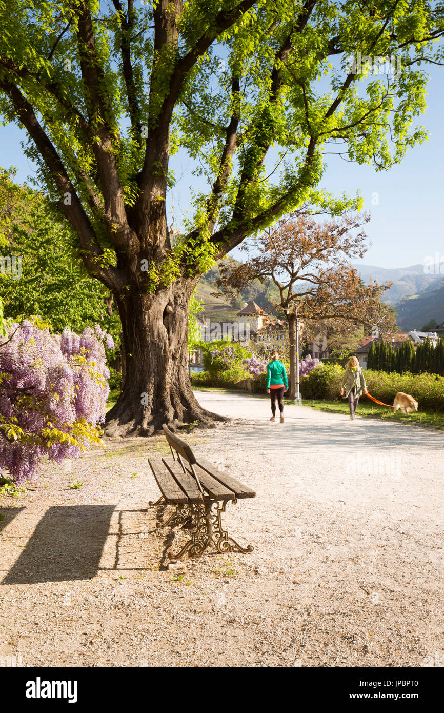 the famous promenade in Bolzano with some people taking a walk, Bolzano ...