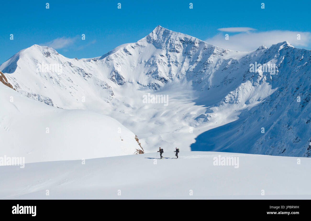 Ski mountaneering in forni glacier valtellina hi-res stock photography ...