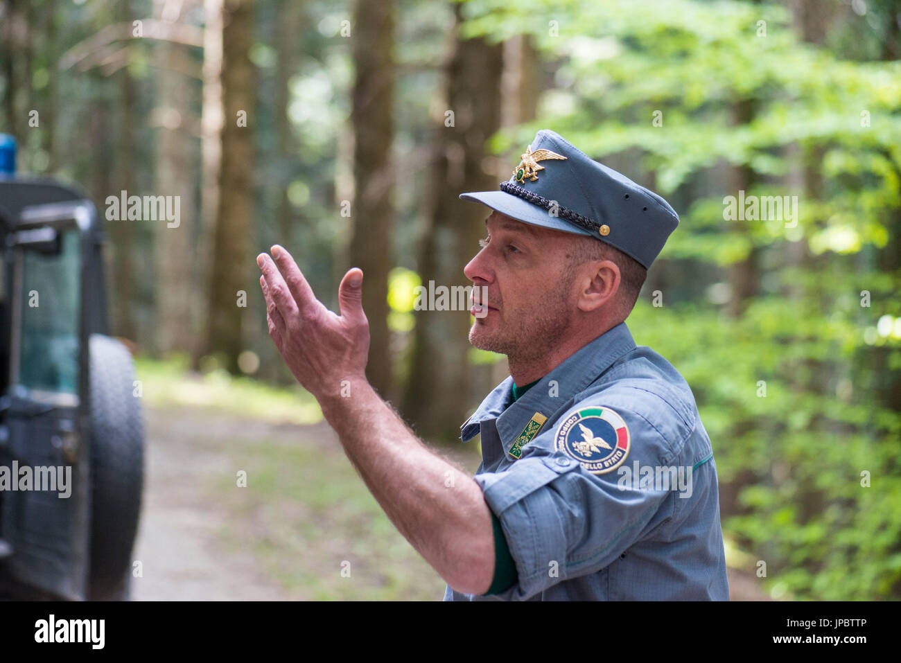 Forest ranger hi-res stock photography and images - Alamy