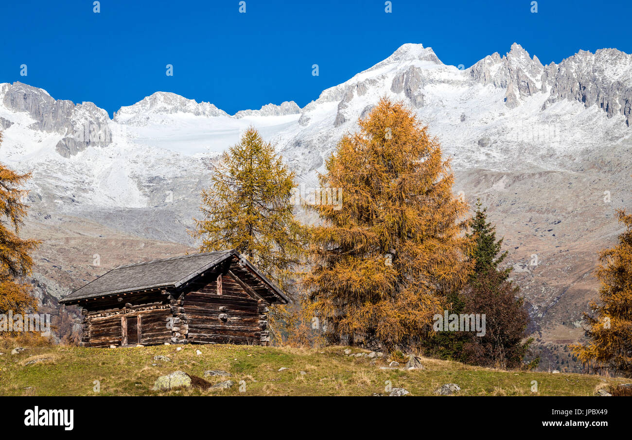 A typical wooden house with Alps on the background, Trentino Alto Adige ...