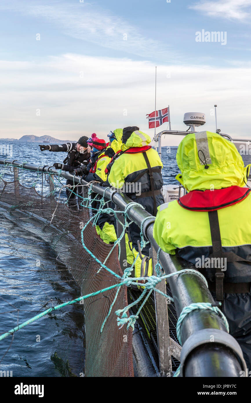 Salmon farming Frøya Island Trøndelag Norway Europe Stock Photo - Alamy