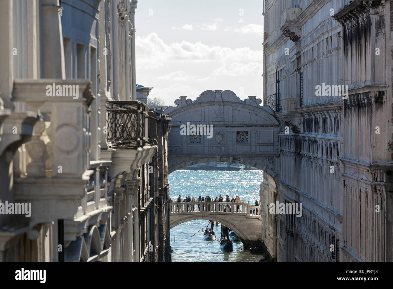 View background white hi-res stock photography and images - Alamy