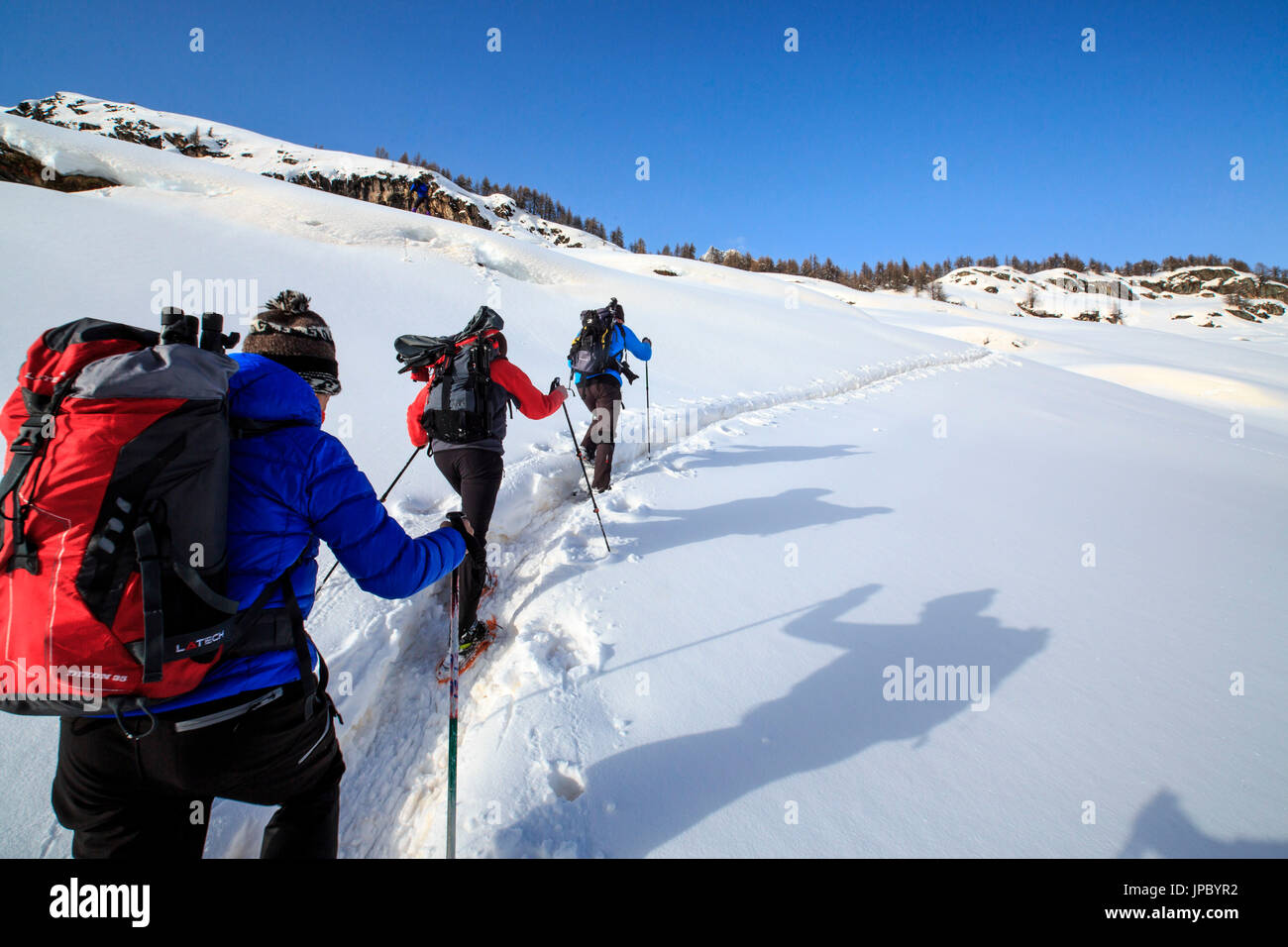 Snowshoe hikers walking along a track above the Maloja Pass. Engadine ...