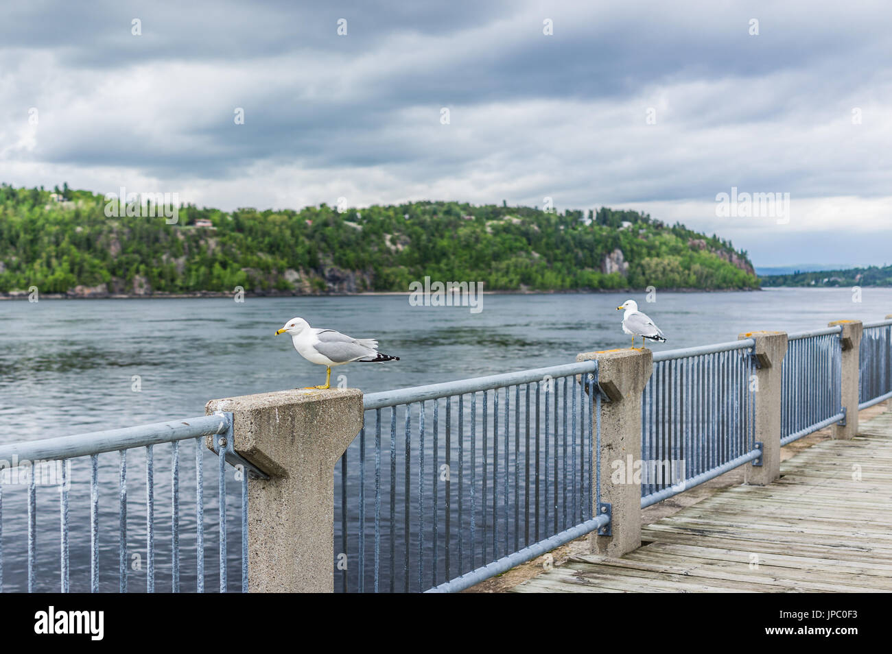 Sidewalk terrace boardwalk in Saguenay downtown city park in Quebec ...
