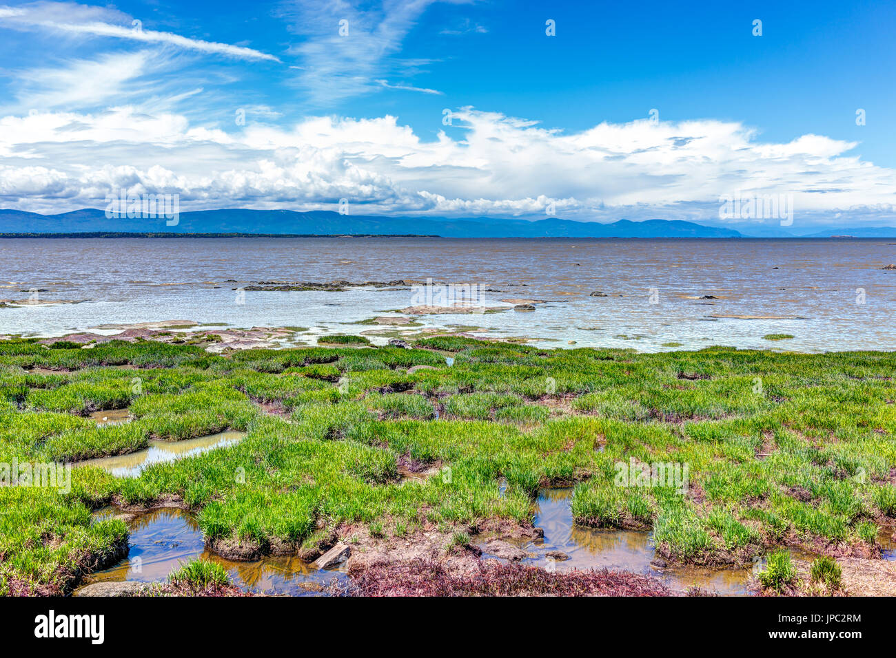 Closeup of Saint Lawrence river beach in Quebec, Canada with grass and ...