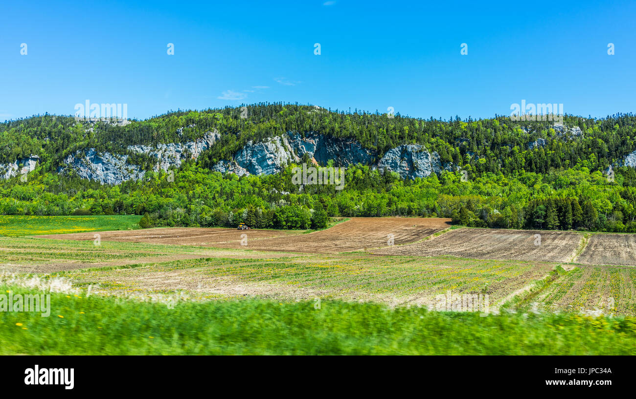 Quebec farm landscape with brown plowed field in summer with mountain ...