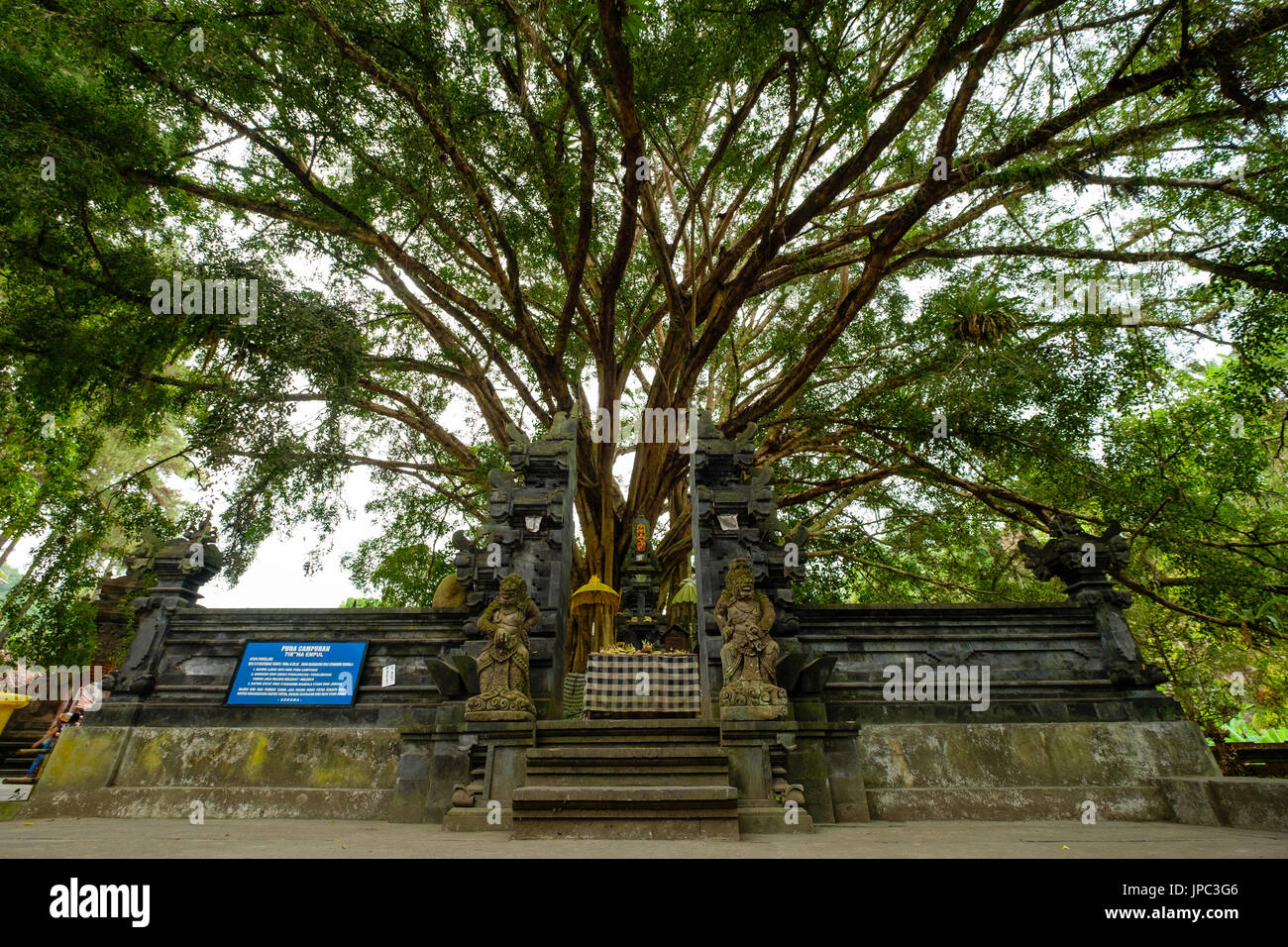 Sacred Campuhan Temple with big banyan tree at background Stock Photo ...